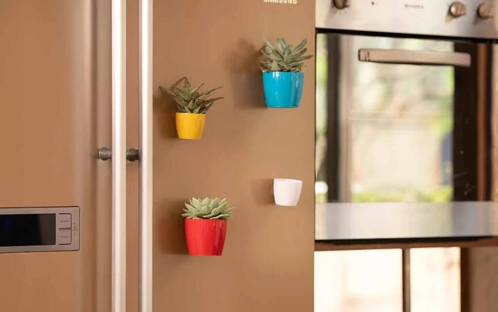 mag-pot › Orchid Flora